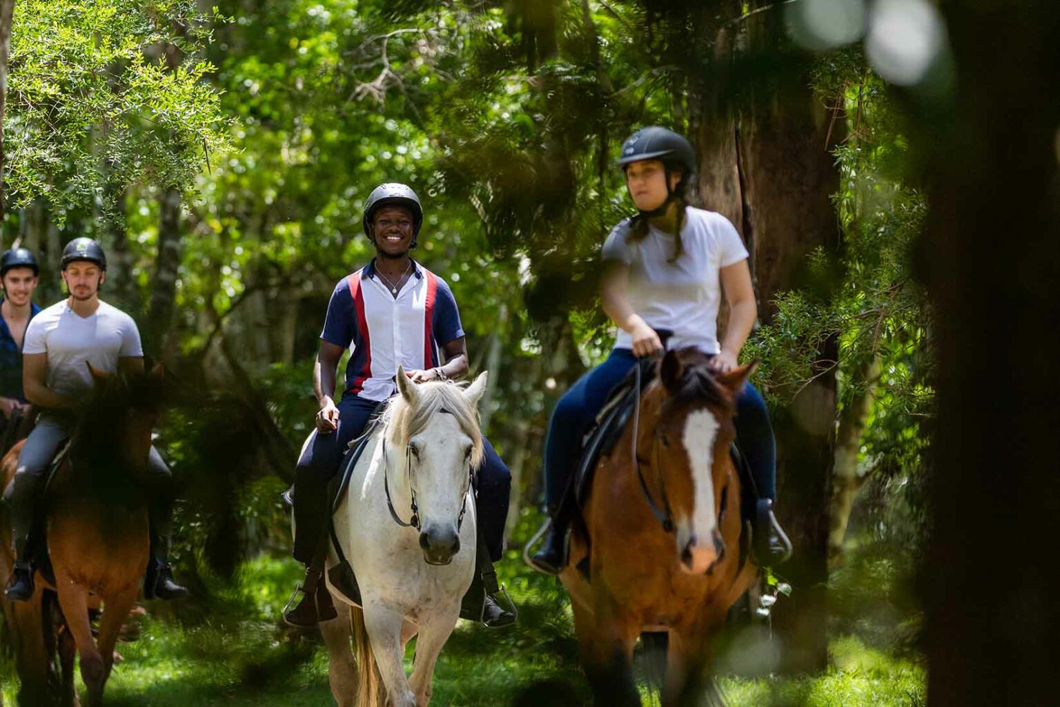 Sydney's Favourite Horse Riding Tour - Glenworth Valley