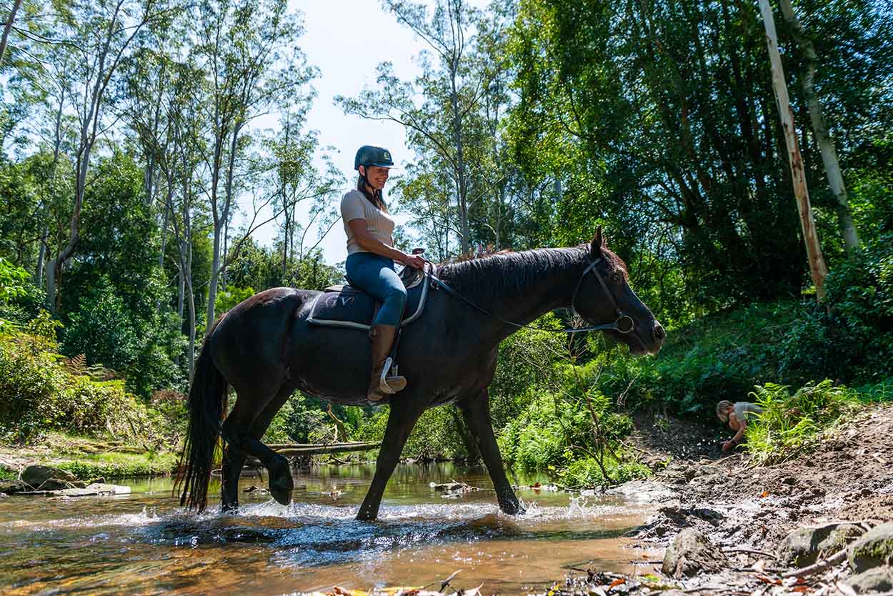 Horse Riding Lessons | Glenworth Valley Horse Riding