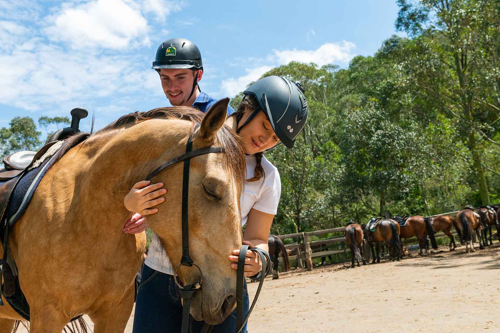 Horse Riding Lessons | Glenworth Valley Horse Riding