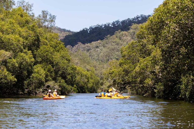 Go Double Kayaking in Sydney - Spectacular Natural Riverways