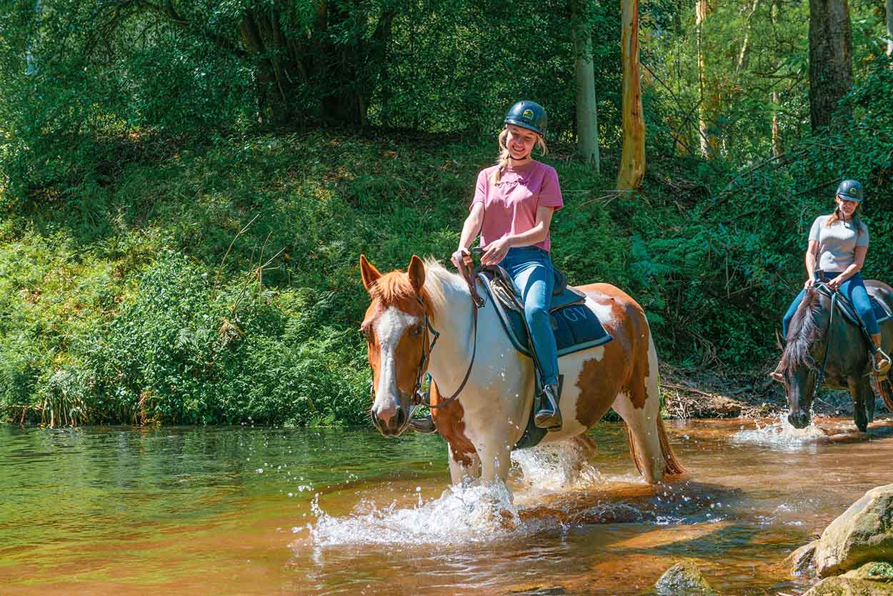 Horse Riding Lessons | Glenworth Valley Horse Riding