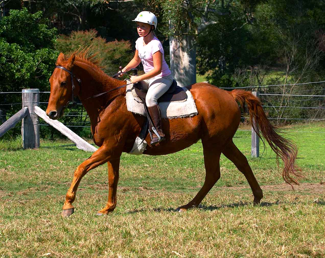 Horse Riding Lessons | Glenworth Valley Horse Riding