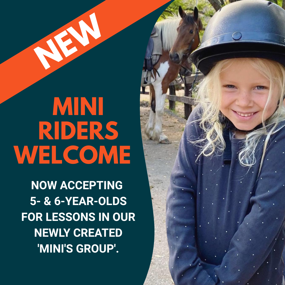 Horse Riding Lessons | Glenworth Valley Horse Riding