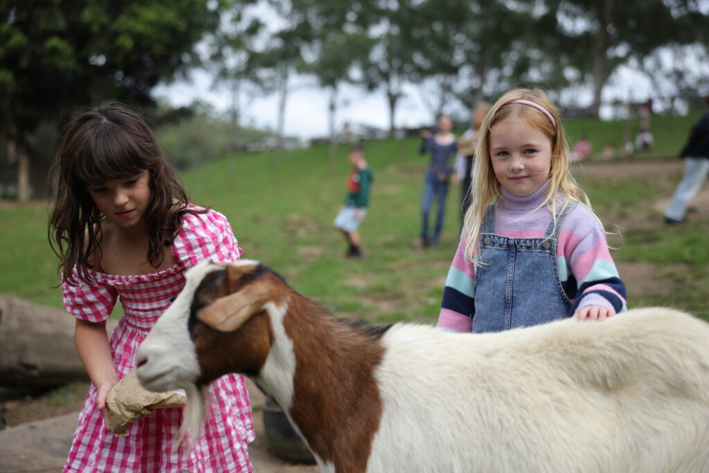 Petting Farm Feeding Sessions - Glenworth Valley Wilderness Adventures